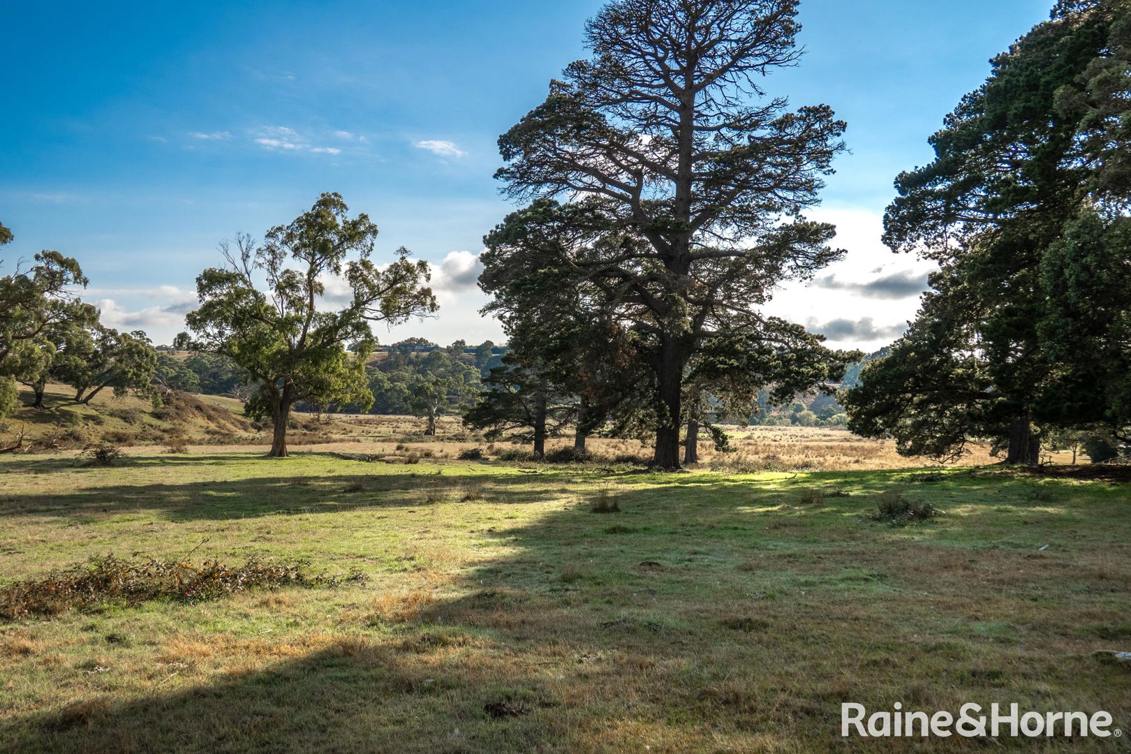 Lot 6 & 7 Bacchus Marsh Road Gisborne VIC 3437 - horseproperty.com.au