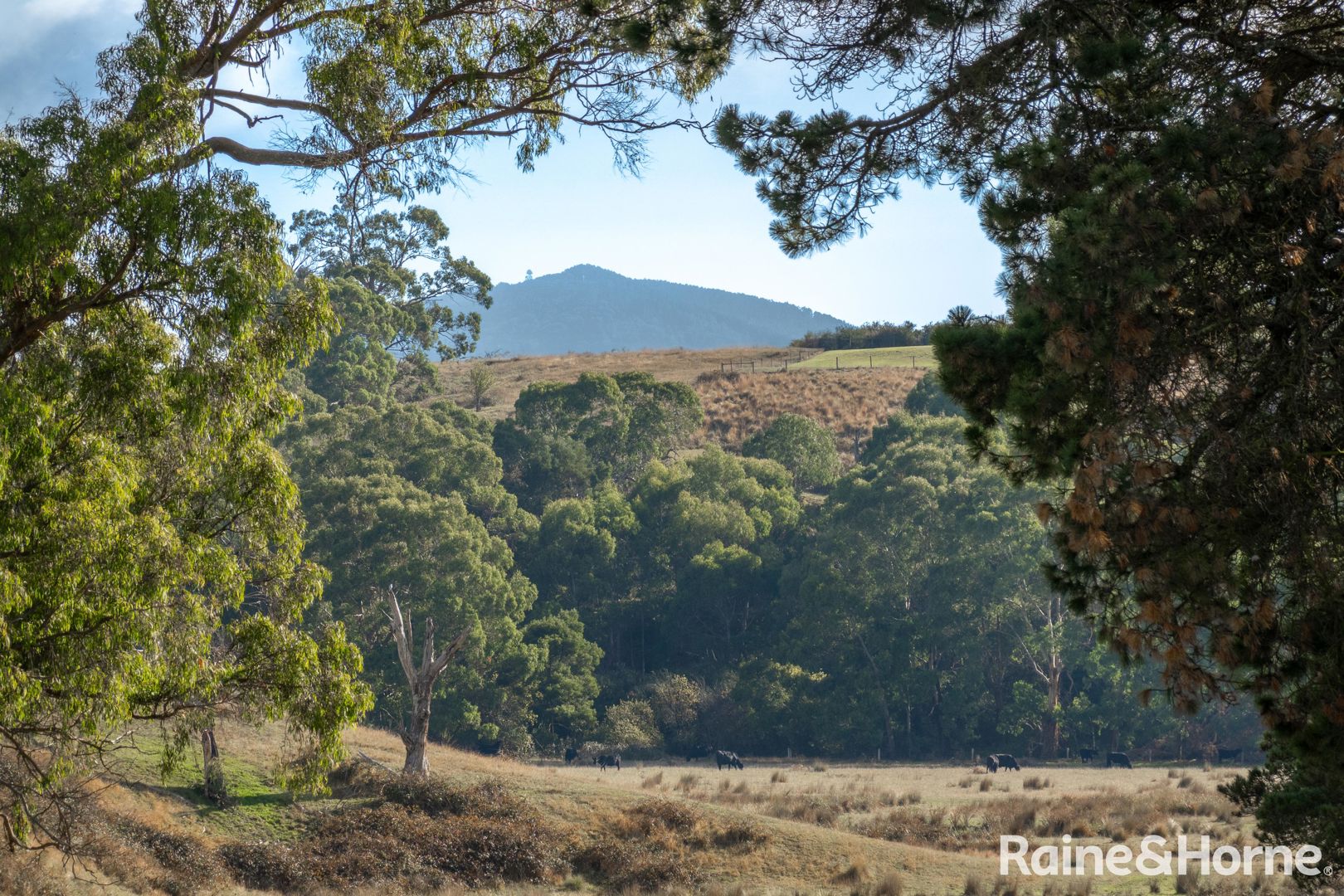 Lot 6 & 7 Bacchus Marsh Road Gisborne VIC 3437 - horseproperty.com.au