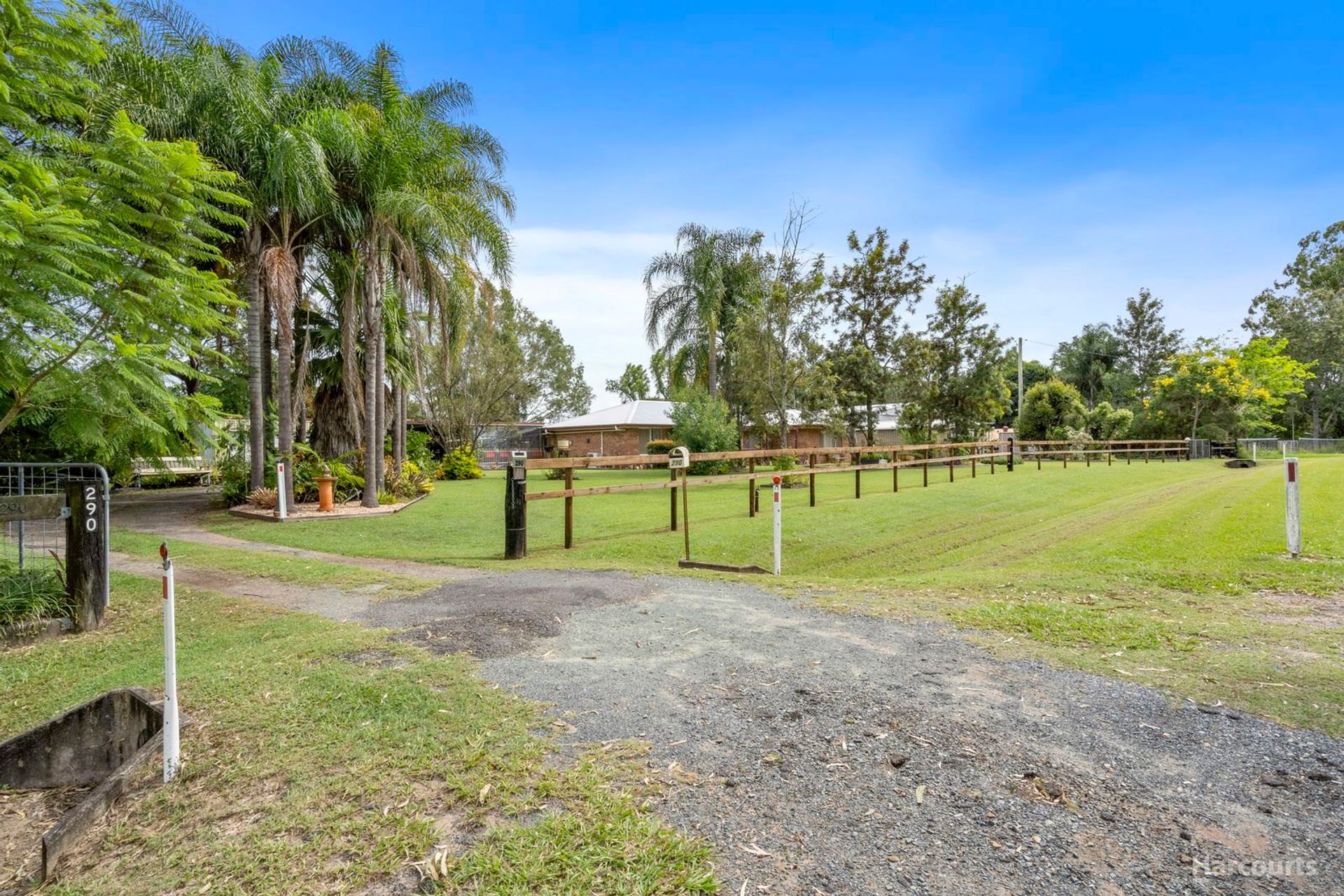 290-296 Leopardwood Road Cedar Grove QLD 4285 - horseproperty.com.au